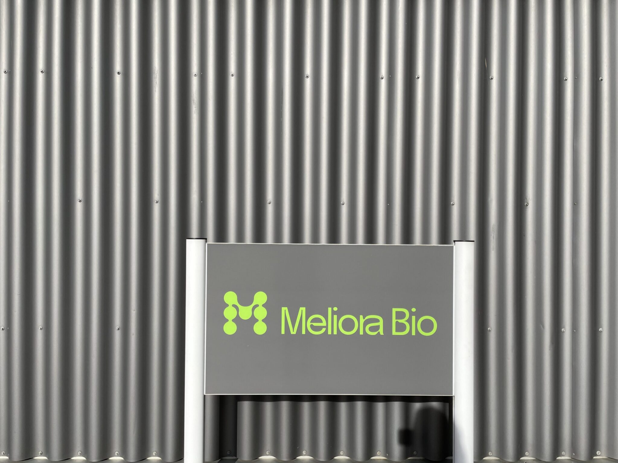 Jobs - Meliora Bio